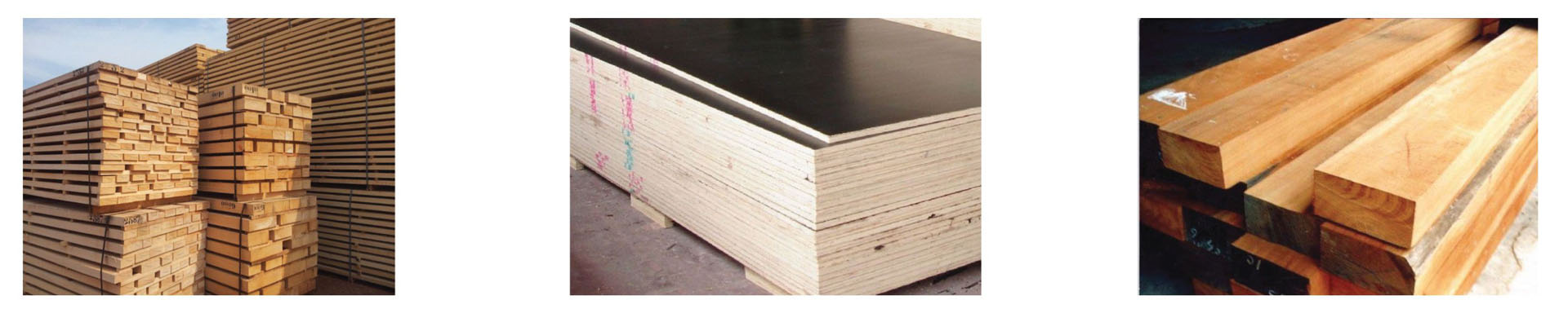 Timber Plywood – White Night International General Trading Company In ...